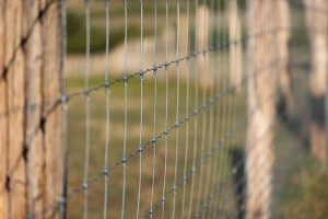 Bekaert – Maruthi Wire Netting